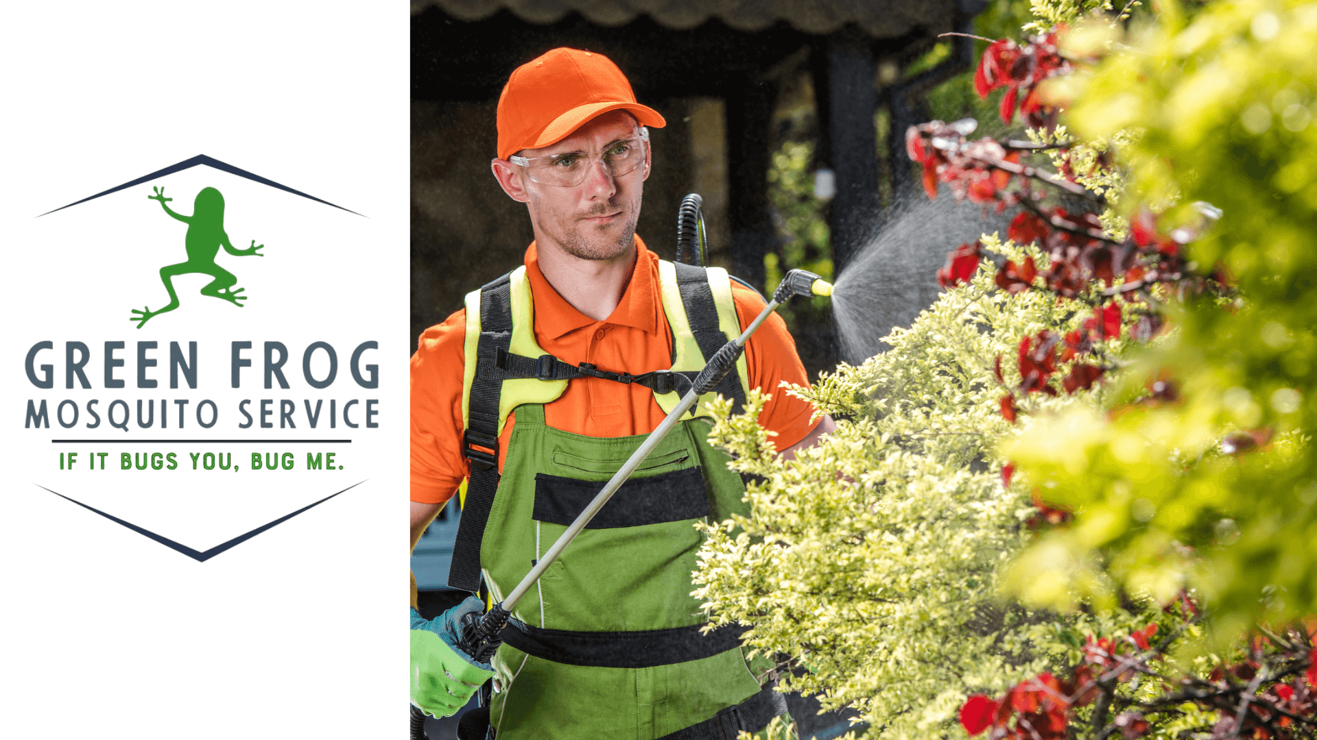 Green Frog Mosquito & Pest | Home
